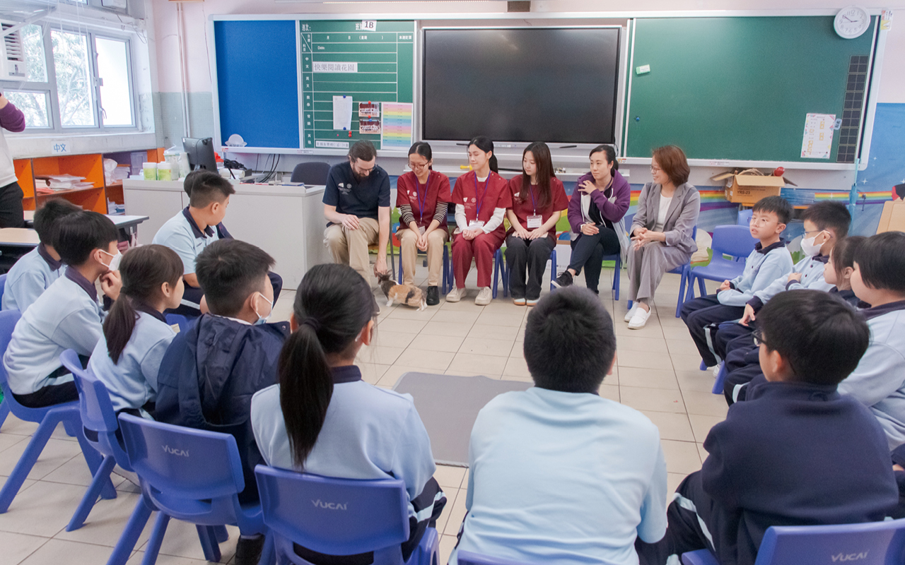 仁濟醫院何式南小學 Y.C.H. Ho Sik Nam Primary School(hosiknam) - GoodSchool好學校